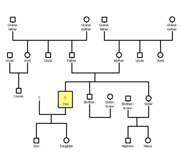 The Genogram – The Living Process